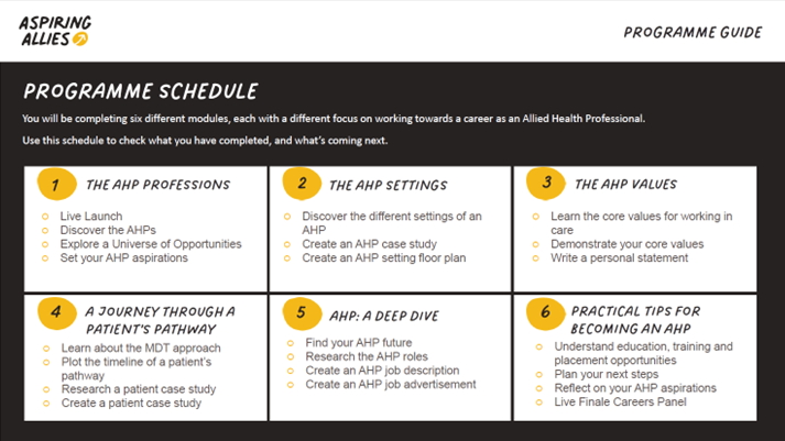 Virtual Work Based Learning Programme - Aspiring Allies