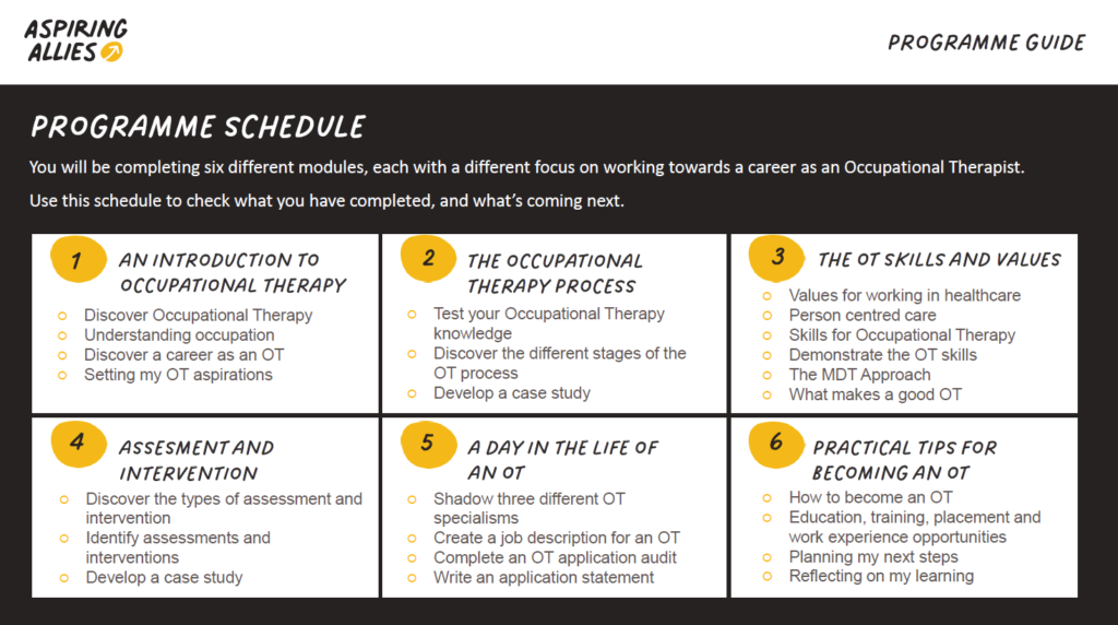 Occupational Therapy Virtual Work Based Learning Programme - Aspiring ...