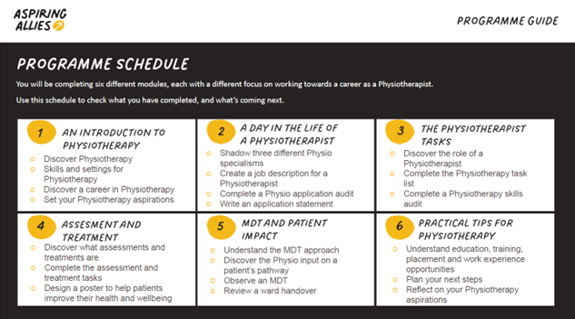 Physiotherapy Virtual Work Based Learning - Aspiring Allies